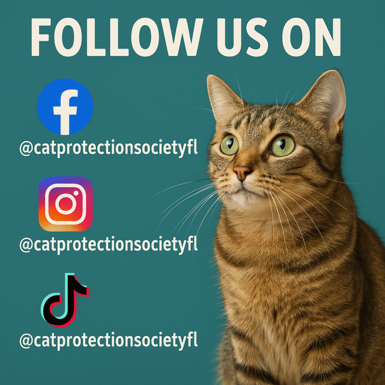 Shelter News – Cat Protection Society